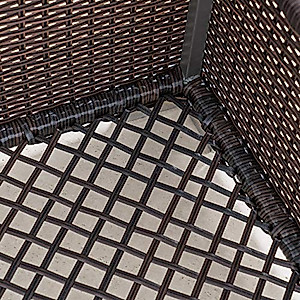 Christopher Knight Home Santa Rosa Outdoor Wicker Coffee Table with Storage, Multibrown