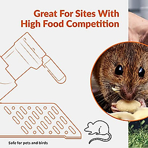 Goodnature A24 DIY Lure Baskets, Pet-Friendly Do It Yourself Rat and Mouse Lure Accessory (5 Pack)