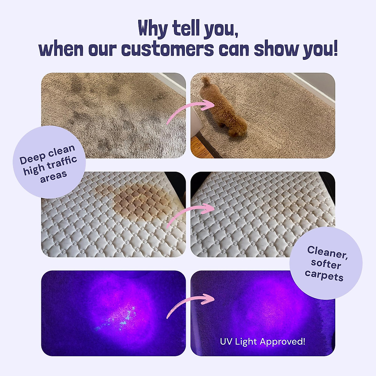 Sunny & Honey Carpet Miracle - Carpet Cleaner (32 Fl Oz (Pack of 1), Light Lavender Scent)