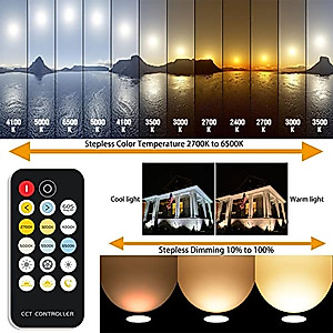 Spotlight Outdoor 6W 2700K-6500K LED Spot Lights Outdoor Indoor for House Flag Yard Tree Garden Décor, Led Landscape Lights Plug in Outdoor Lights 5.9ft Cord with US 3-Plug IP66 Waterproof 1 Pack