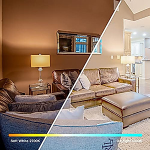 DAYBETTER Vintage LED Edison Bulbs 60 Watt Equivalent, ST58 Antique LED Filament Light Bulbs, Dimmable Led Bulb with E26 Medium Base, Warm White 2700K, Brightness 8W, 800LM, Clear Glass, 3 Packs