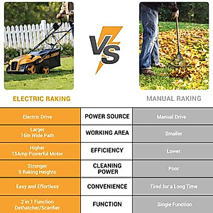 Rock&Rocker 16-Inch 15 Amp Electric Dethatcher Scarifier, 5-Position Height Adjustment, 48.4QT Removable Thatch Bag, Quick-Fold, with Scarifier Blade, Removing Thatch, Lawn Mower's Mate