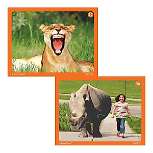 Super Duper Publications | What's Wrong with This Photo Flash Cards | Problem Solving, Reasoning and Critical Thinking Skills Fun Deck | Educational Learning Resource for Children