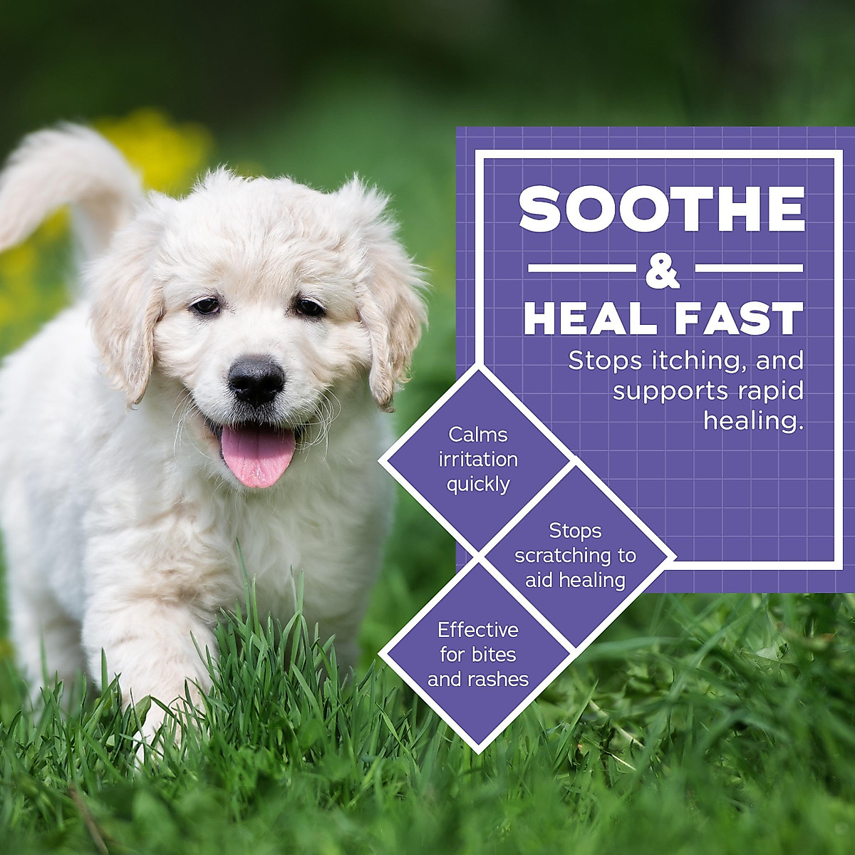 VetWELL Hydrocortisone Spray for Dogs & Cats - Itchy Skin Relief from Hot Spots, Bites, Scrapes, Irritated Skin, & Dermatitis - 4 oz Anti Itch Spray with Pramoxine