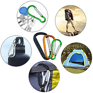 20 Pack Carabiners Clips with Keychain D Ring Caribeaner Clip Hook for Backpack Water Bottle Key Home RV Outdoor Small Item (3 Style)