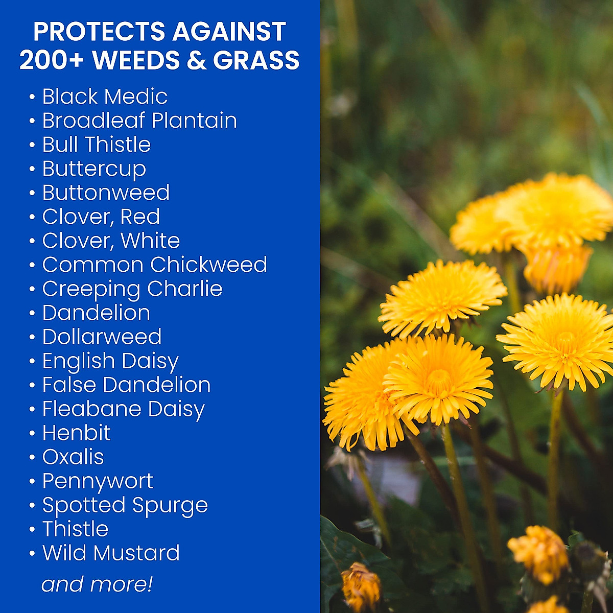 BioAdvanced Lawn Weed Killer, Ready-to-Spray, 32 oz, 16,000 Sq Ft