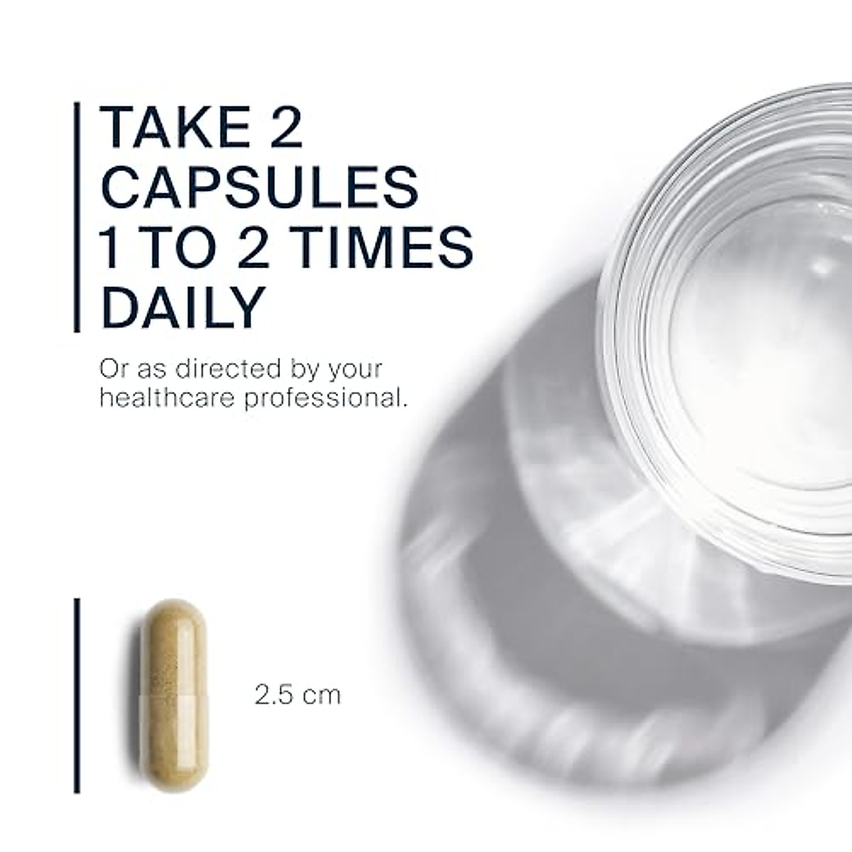 Vital Nutrients - Echinacea Extract - Immune System Support - 60 Vegetarian Capsules per Bottle - 1000 mg