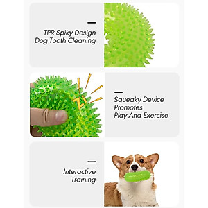 NIAOSANM Dog Squeaky Chew Toys for Aggressive Chewers Dental Teething Cleaning (Non-Toxic Soft Natural Rubber), Cute Crystal Ring Design -4.92 inches (Purple)