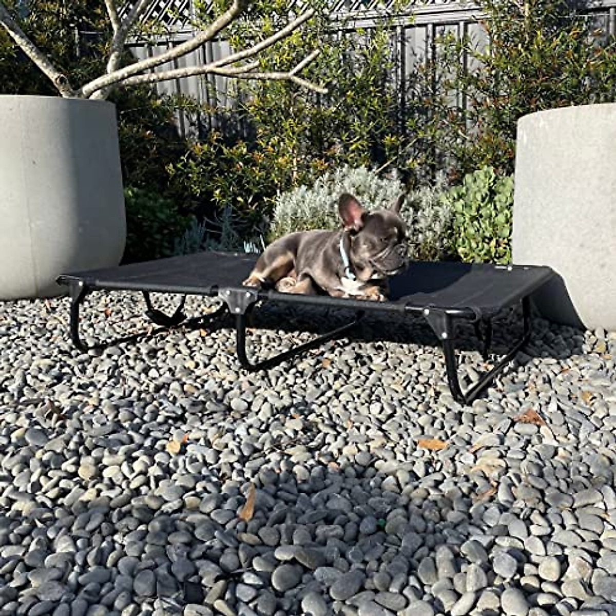 Dazy Dog Elevated Folding Pet Bed Outdoor Waterproof (Large, Black)