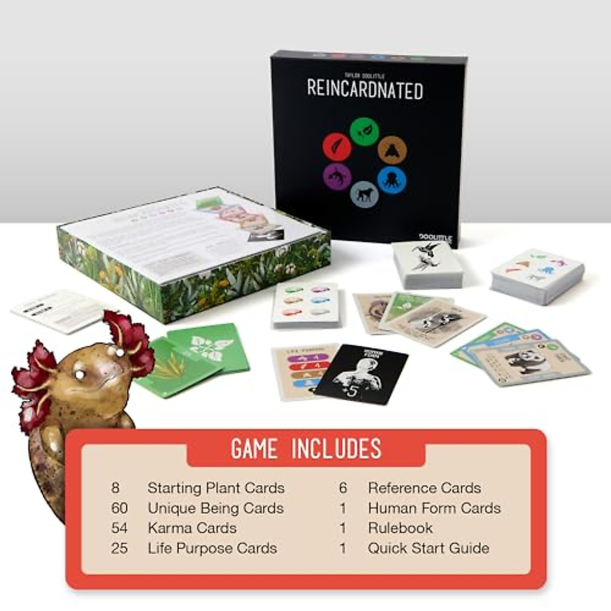 Doolittle Gaming Reincardnated A Turn-Based Deck Drafting Card Game - Strategy Party Game for 2-6 Players on Family Game Night