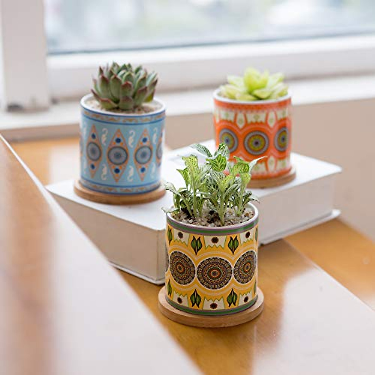 COLOAPT Succulent Plant Pots - 3.1 inch Ceramic Succulent Planter -Cylinder Flower Pots for Cactus with Drainage Hole and Bamboo Tray, 6 Pack (Multicolor1)