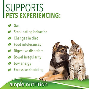 Ample Nutrition Digestive Enzyme for Dogs & Cats, 7.05oz - Tasteless Powdered Blend