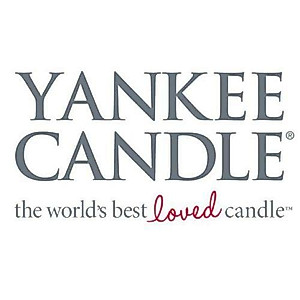 Yankee Candle Single Wick Scented Glass Candle Mountain Lodge
