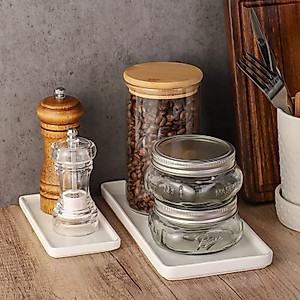 Nucookery 10" Serving Tray,Porcelain Kitchen Rectangle Platter,Ceramic Bathtub Organizer, Black (10", Set/1)