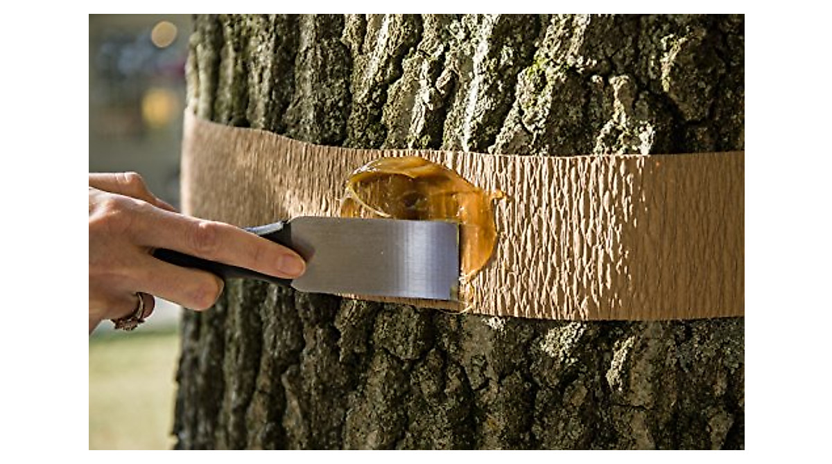 Tanglefoot Insect Barrier - 15 oz. Sticky Solution