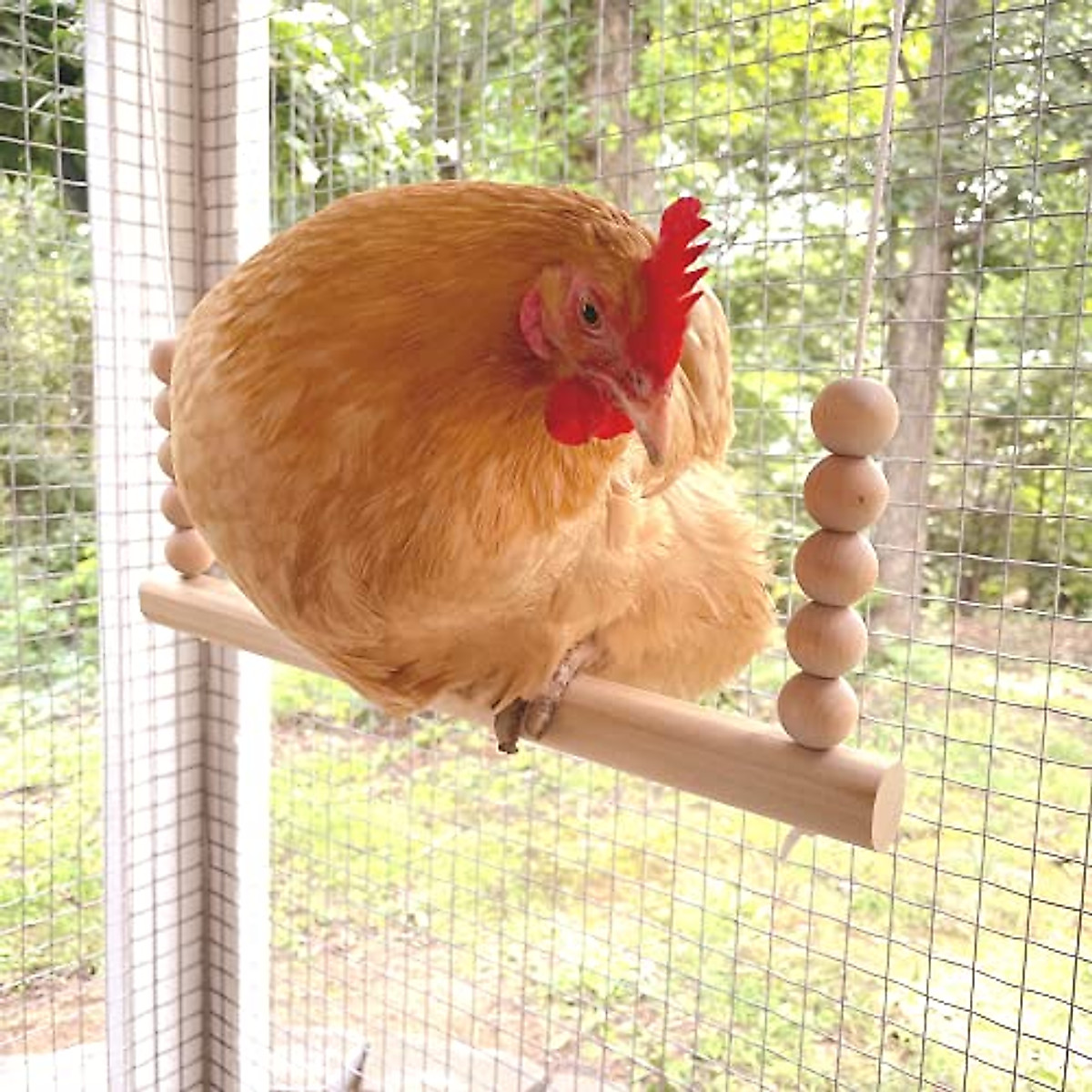 Backyard Barnyard Chicken Swing Handmade in USA!!! ! Toy for Coop (Round Bar) Natural Safe Large Wood Perch Ladder for Poultry Run Rooster Hens Chicks Pet Parrots Pollo Stress Relief for Birds