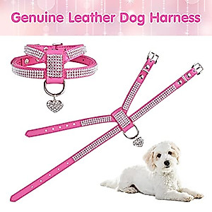 EXPAWLORER Dog Harness Genuine Leather Soft Padded Pet Sparkly Rhinestone Vest with Heart Pendant for Puppy Cat, Pink (S, Pink)