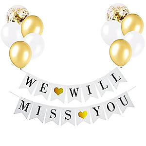 Mannli Elicola We Will Miss You Banner Balloons Bunting for Retirement Farewell Going Away Office Work Party Graduation Decorations