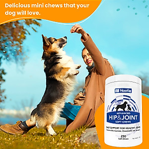 Nootie Glucosamine for Dogs - 250 ct - Hip and Joint Soft Chews Supplement for Dogs - Daily Dog MSM Chondroitin Chews with Turmeric - Joint Care Vitamins for All Breeds and Sizes USA