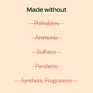 Plant Therapy Candy Cane Naturally Scented Candle 9 oz Hand-Poured Coconut & Soy Wax Blend, Crisp & Cool Natural Scent, Chic Frosted White Jar with Wooden Lid