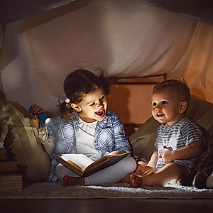 EverBrite 16-Pack Mini LED Flashlight Set - Assorted 4 Colors, 48 AAA Batteries Included, for Hurricane Supplies Party Favors, Kids Gift, Camping, Hiking etc