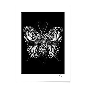 FANTASMAGORIK¨ INSECTS 3