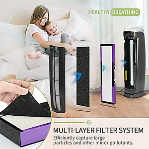 Nisreen FLT5250PT Replacement Filter Compatible with Germ-Guardian Filter C Pet HEPA Filter Air Pu-rifier AC5250PT AC5000E AC5300B AC5350W AC5350B CDAP5500 and More, 2 HEPA and 6 Pre-Filter