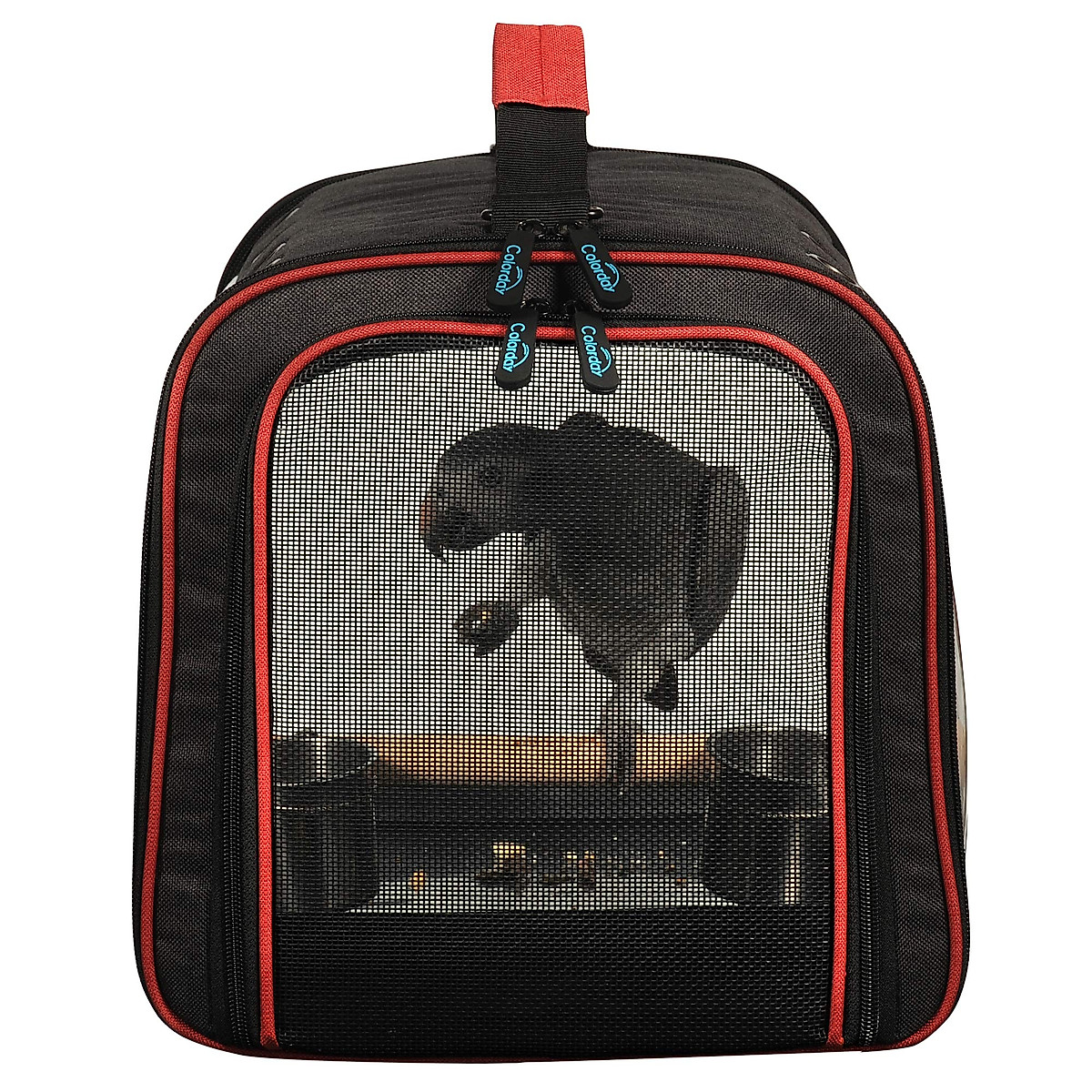 Colorday Lightweight Bird Carrier for Travelers, Bird Travel Cage with Parrot Feeder Cups & Standing Perch and Tracy (Large 19 x 12 x 13, Black)