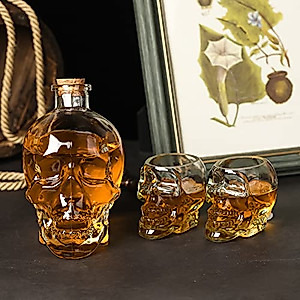 Skull decanter set-With 2 Skull glass vodka glass for Scotch, Bourbon, Liquor and Cocktail（750ML) Transparent
