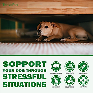 ThrivePet Hemp Calming Chews for Dogs - 120 Count | Duck Flavor - Puppy Dog Calming Treats Supplement for Storm Anxiety, Sleep, Relaxing, Separation Aid, Stress Relief - Vet Approved - Made in USA