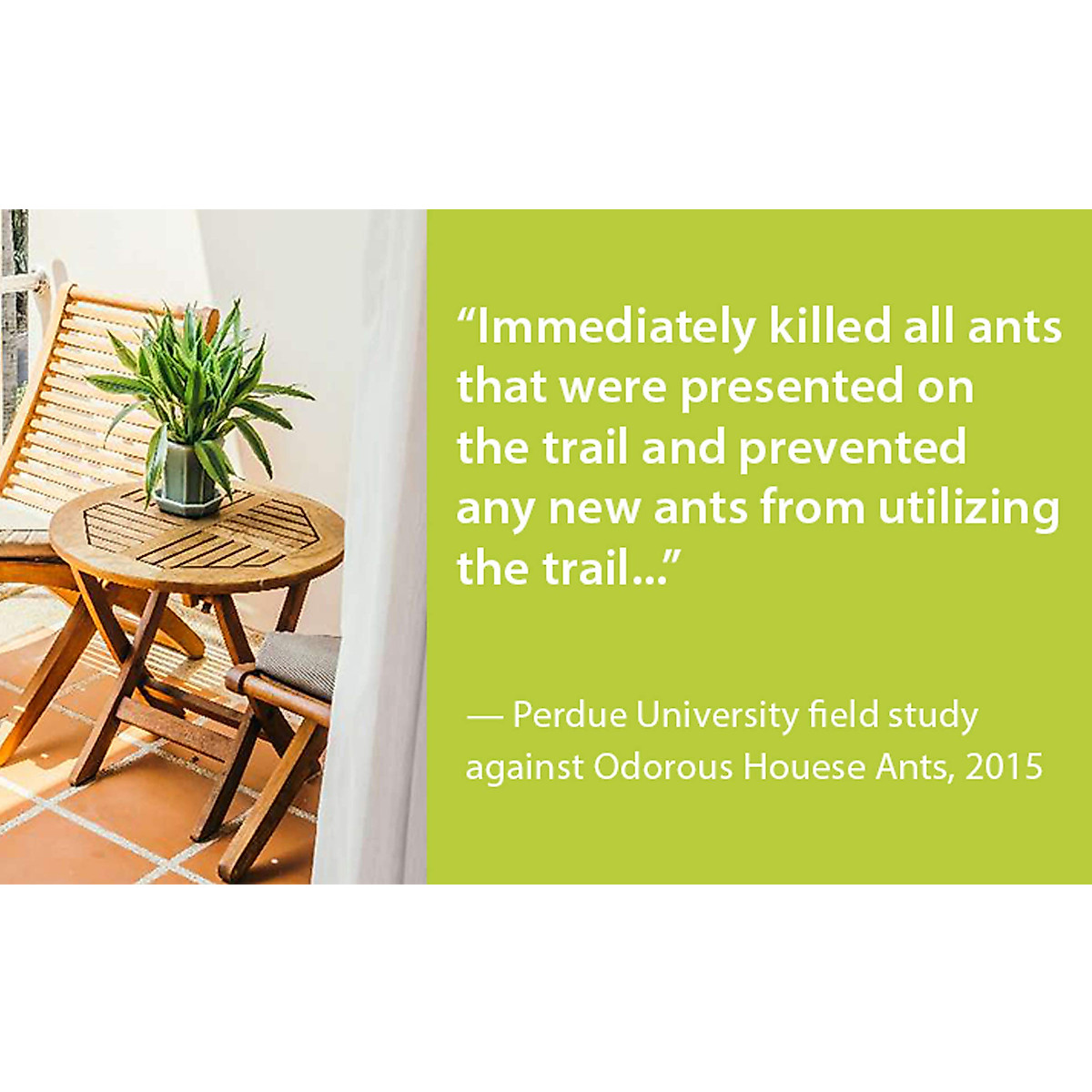 EcoVenger Ant Killer & Crawling Insect Killer (Citrus Scent) 16 oz x2, Kills Fast in Minutes, Also Kills Spiders, Centipedes & More, Repels with Residual, Natural & Non-Toxic, Safe for Children & Pets