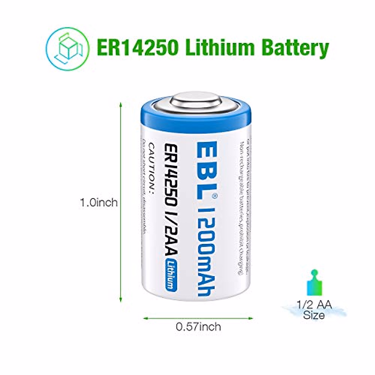 EBL 1/2 AA Size 14250 ER14250 3.6V Lithium Batteries, Non-Rechargeable Battery for Dog Collars and Baby Movement Monitor Alarm Systems and More