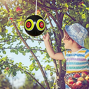 Boping Store Bird Patch Bird with Reflective Inflatable Eye PVC Reflective Ball Eyeball Patio & Garden Mealybug Spray (Black, One Size)