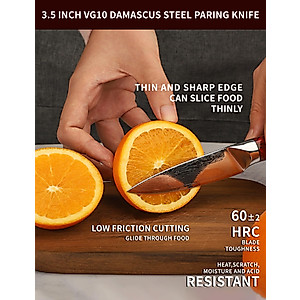 SANMUZUO 3.5 Inch Paring Knife - Kitchen Fruit Vegetable Knife Damascus Steel & Resin Handle - XUAN Series (Jade Green)