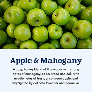 CE Craft Smells Like Ryan Reynolds Candle - Midnight Musk Scented Gifts, Gift for Her, Prayer Candle, Scented Soy Wax Candle for Home | 9oz Clear Jar, 40 Hour Burn Time, Made in The USA