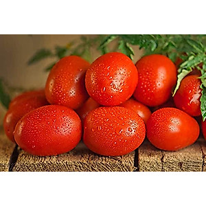 Roma Heirloom Tomato Seeds for Planting, 300+ Seeds Per Packet, (Isla's Garden Seeds), Non GMO Seeds, 90% Germination Rates, Botanical Name: Solanum lycopersicum, Great Home Garden Gift