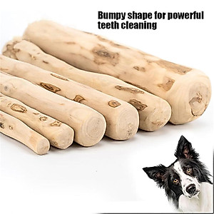 Wooden Dog Chews, Coffee Tree Dog Chews, Wooden Bones for Big Dogs, Wooden Chew Toys for Dogs - Dental Cleaning Stress Relief Toys (7.3in)