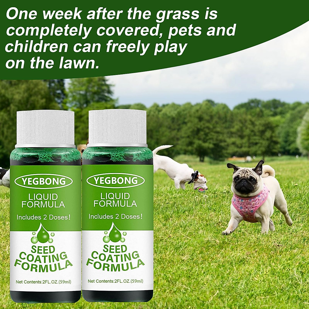 5 PCS Green Grass Lawn Spray, Greenrevive Hydroseeding Lawn Solution Grass Seed Spray,Liquid Grass Seed Spray for Lawn,Hydro Grass Seed Spray（59ml）