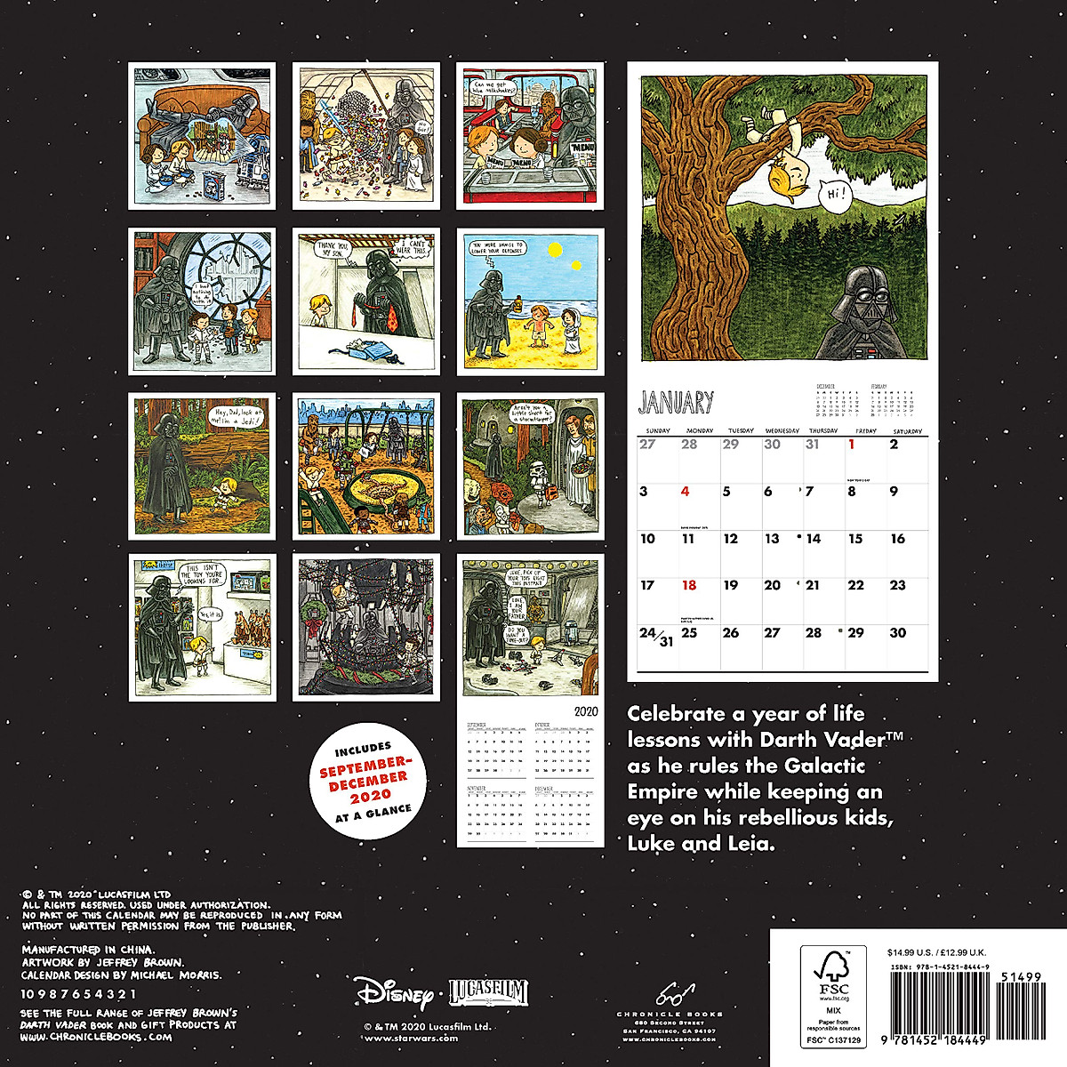 Darth Vader & Son 2021 Wall Calendar