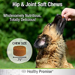 Four Paws Healthy Promise Advanced Formula Hip & Joint Supplement for Dogs Soft Chews 48 Count
