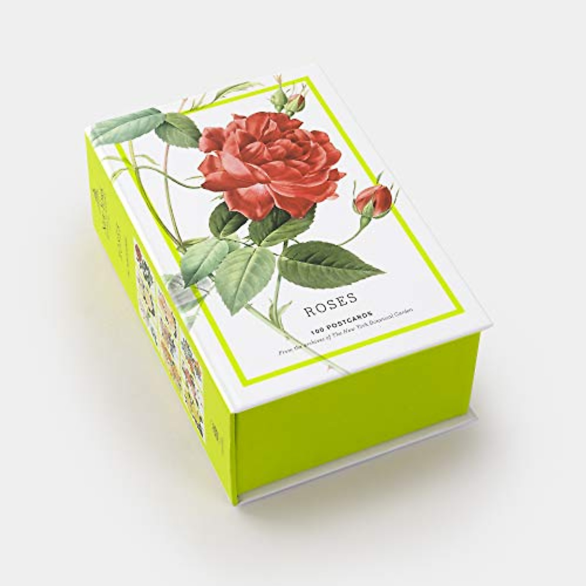 Roses: 100 Postcards from the Archives of The New York Botanical Garden