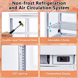 GarveeTech Commercial Refrigerator Display Case 2.1 Cu.FT, Countertop Display Refrigerator, Two Glass Door Display Fridge with LED Lighting, Adjustable Shelves, Double-Layered Glass