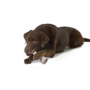 Petstages Deerhorn Antler Alternative Dog Chew Toy, Large