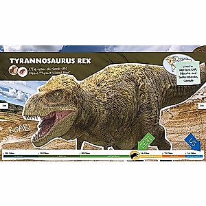 Dino Dana: Dino Field Guide (Dinosaur gift)