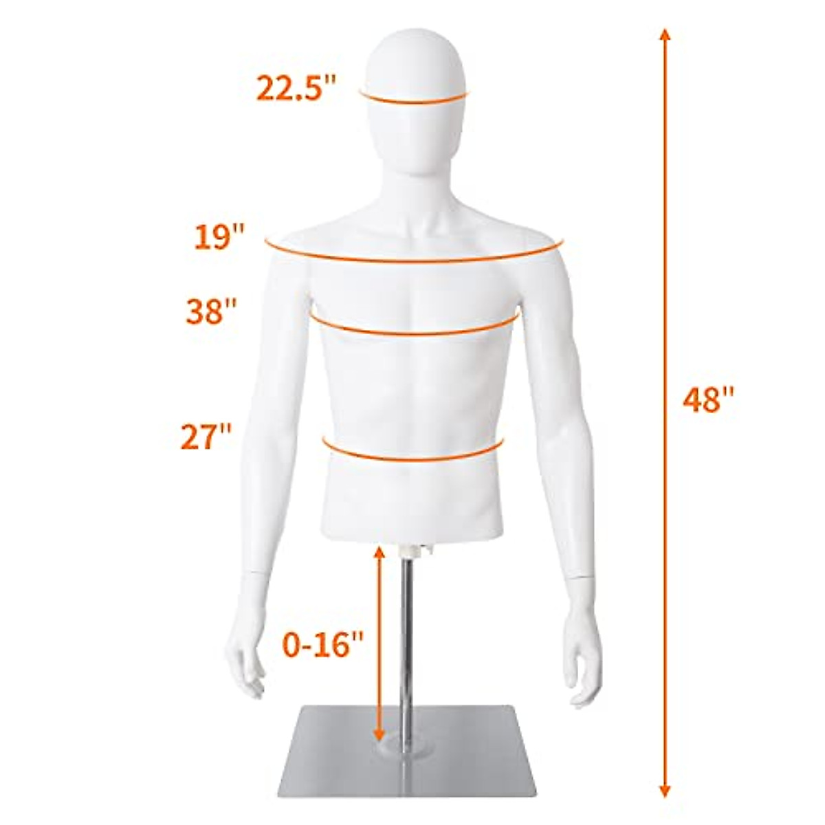 SHAREWIN Male Mannequin with Metal Stand Adjustable Plastic Half Body Display Mannequin Head, for Retail Clothing Shops, White