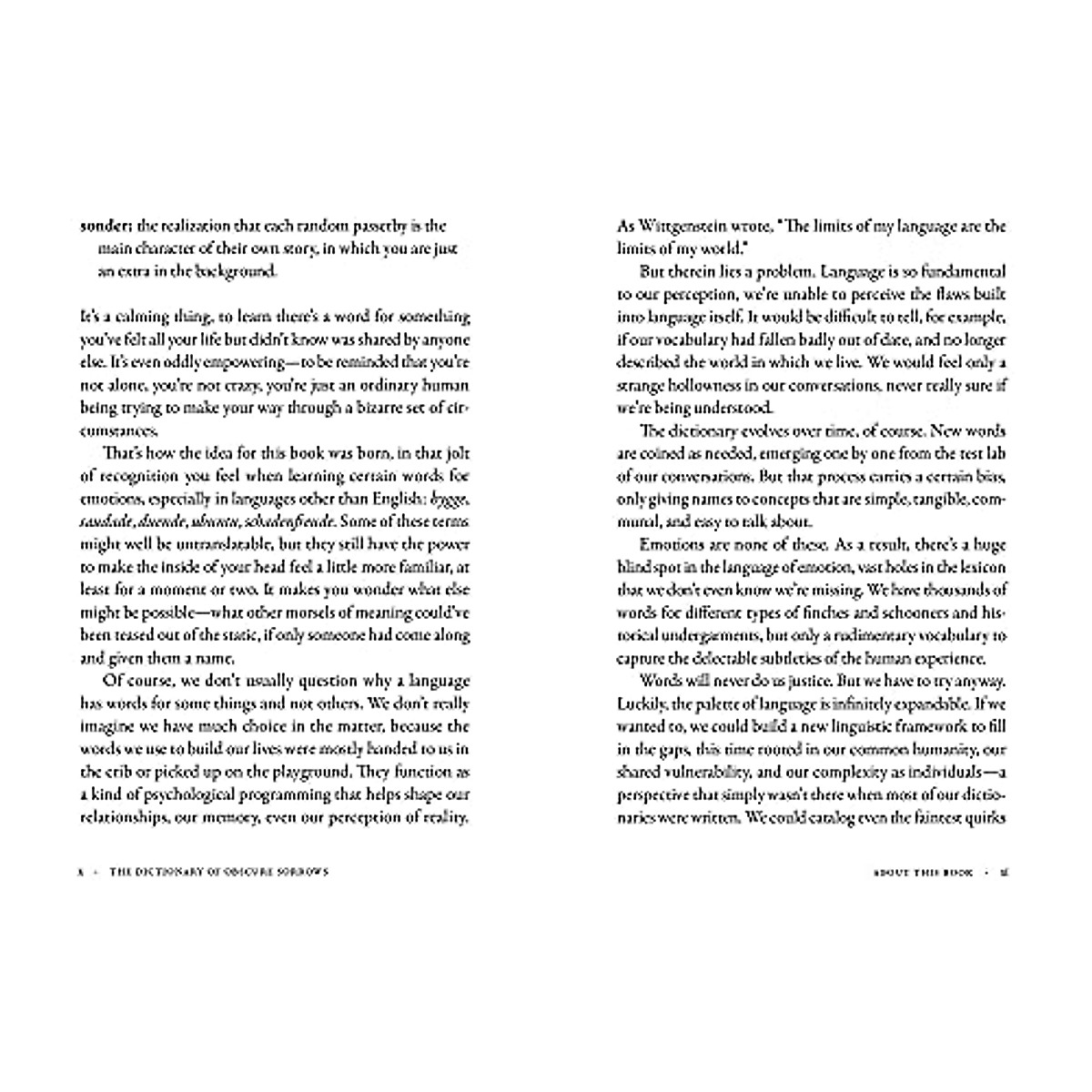 The Dictionary of Obscure Sorrows