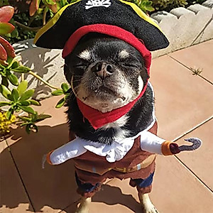 Meihejia Cat Pirate Costumes - Super Cute Pet Pirate Costume for Small Dogs & Cats (Small)
