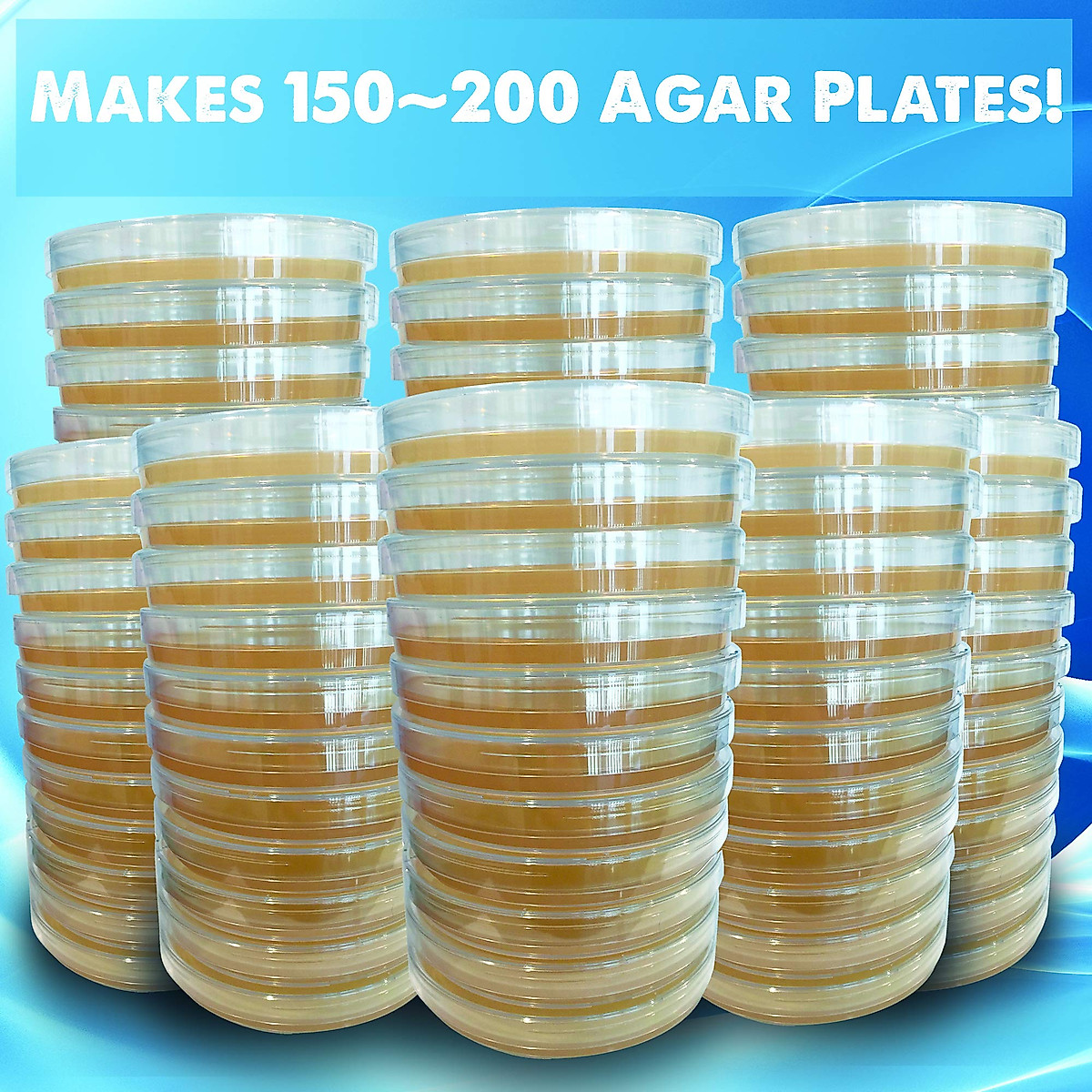 Nutrient Agar Powder 100 Grams - Evviva Sciences - Makes Over 150 to 200 Agar Petri Dishes - Easy to Use - Great Science Fair Projects - W/Experiment Ebook