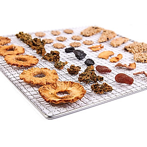 9 Stainless Steel Trays Compatible With Excalibur Dehydrator Replacement UPGRADE Food Shelf Mesh Screen by Bright Kitchen (9 Trays)