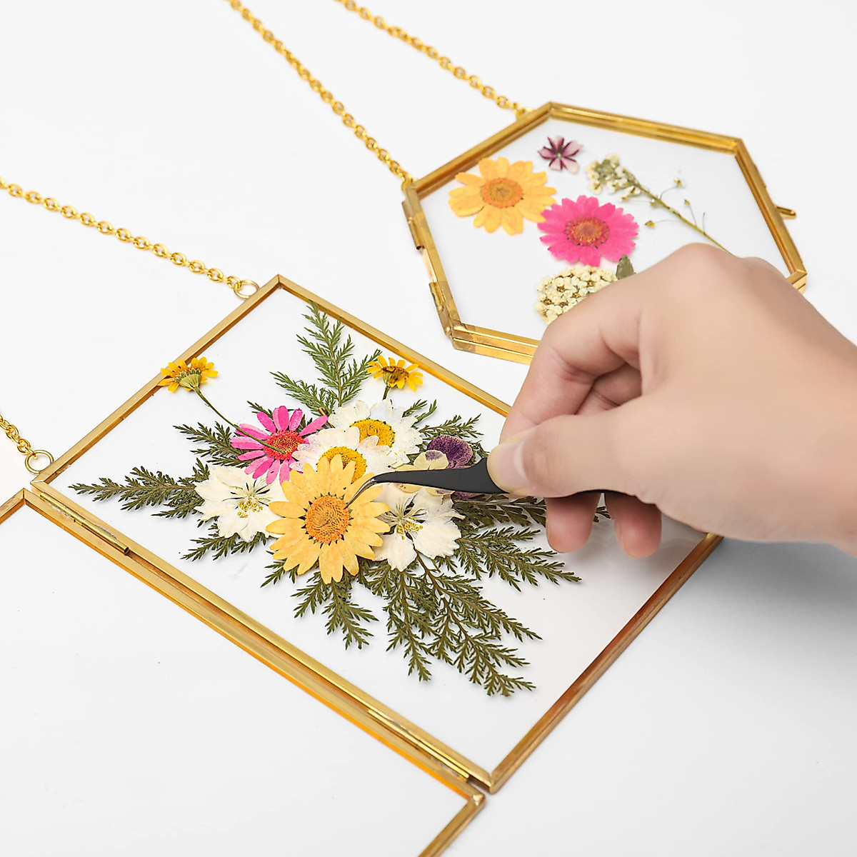 Double Glass Frame for Pressed Flowers - w/Real Dried Flowers and Tweezer for Handicrafts, Photo, or Other Small Flat Items
